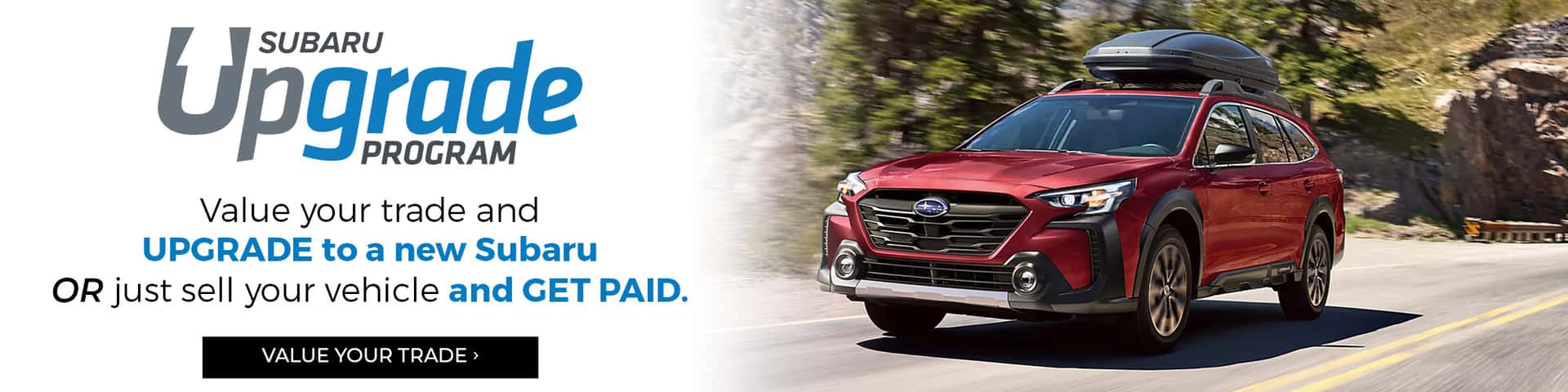 Albany Subaru | Subaru Dealer near Berkeley, CA