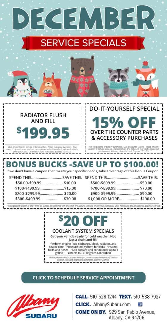 Auto Service Specials | Albany Subaru near Berkeley