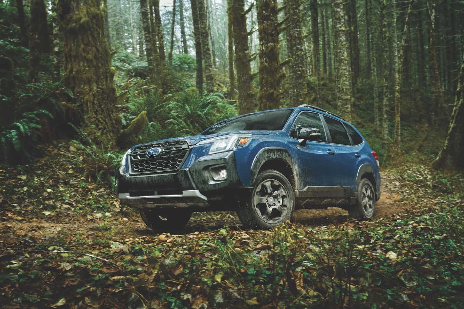 Subaru Dealership in Louisville, KY | Bachman Subaru