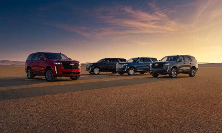 2024 Cadillac Escalade Trim Levels | Luxury vs. Premium Luxury vs. Sport