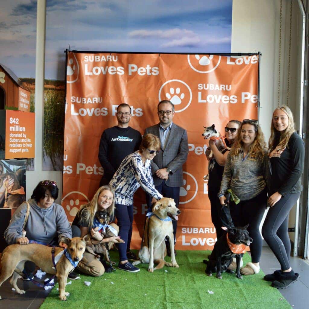 Subaru Loves Pets Hits Record Number of Pet Adoptions! | Competition ...