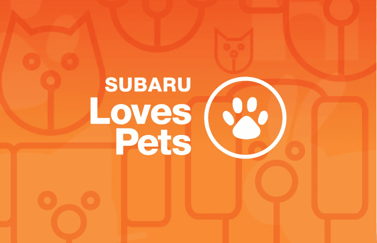 Dog-Tested, Dog-Approved: Why Subaru Is the Ultimate Pet-Friendly ...