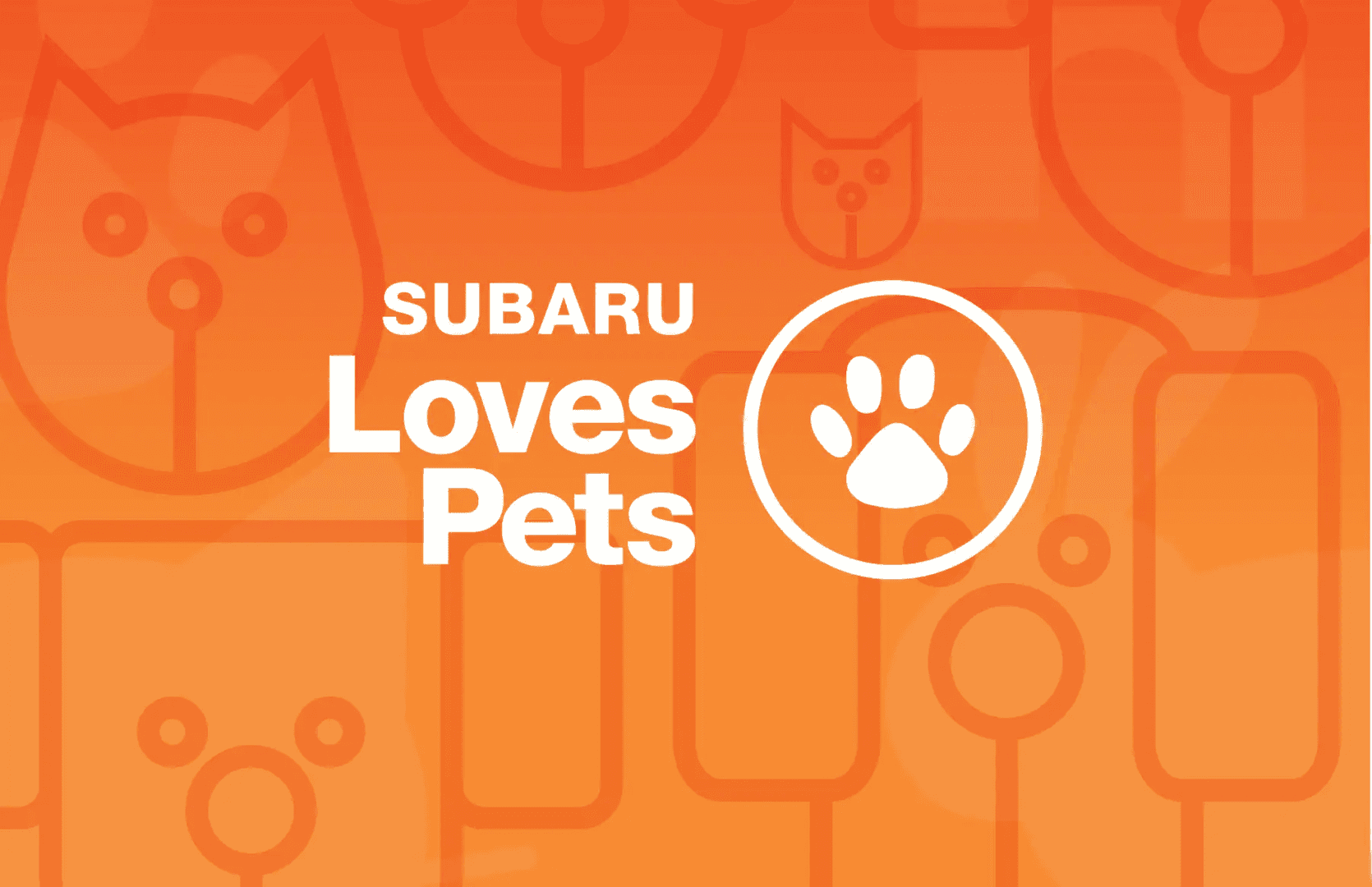 Dog-Tested, Dog-Approved: Why Subaru Is the Ultimate Pet-Friendly ...