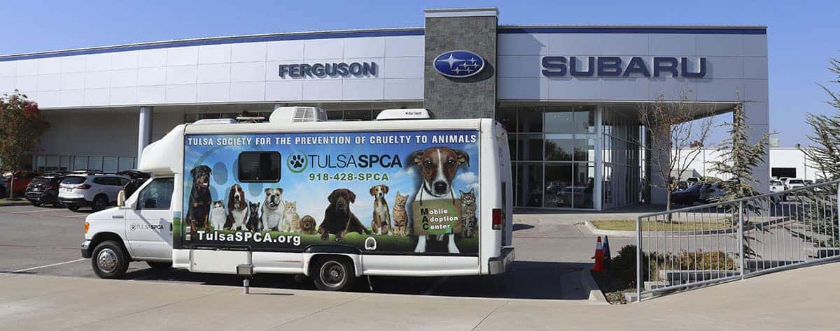 #SubaruLovesPets 2023 Pet Adoption Event | Ferguson Subaru