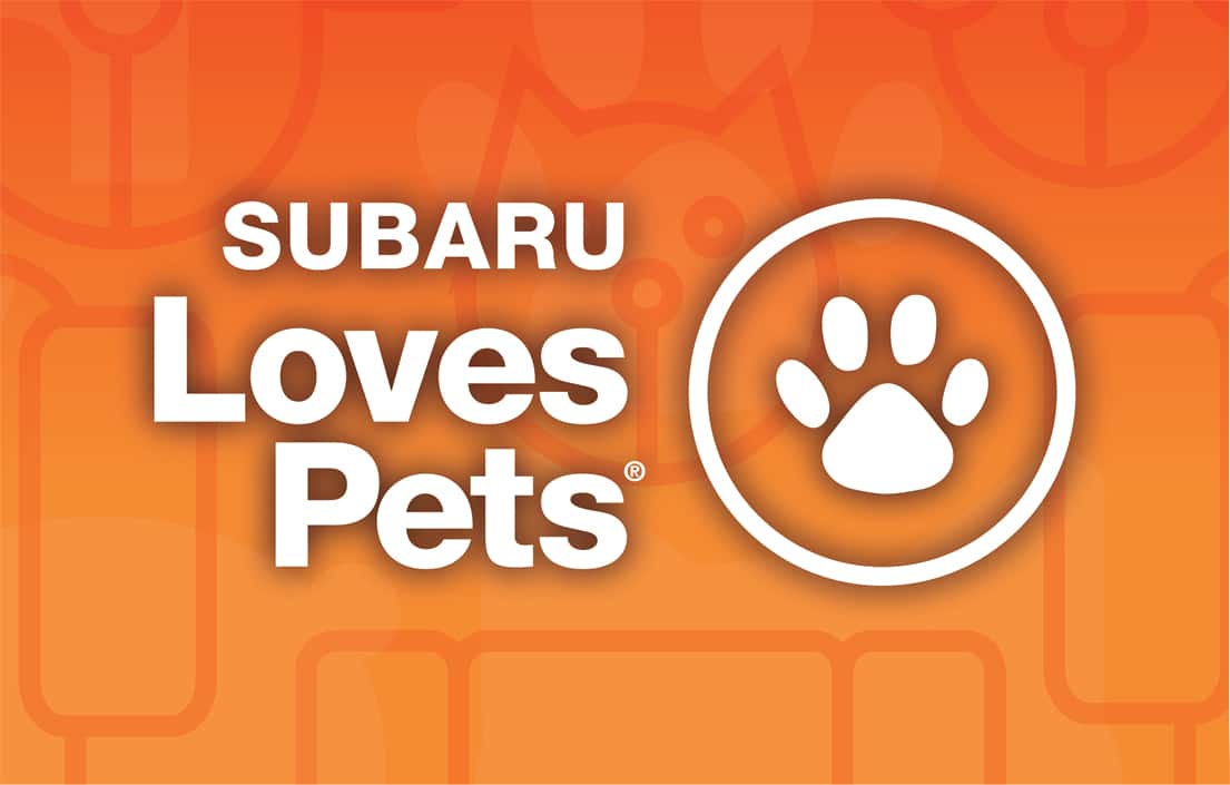 Ferguson Subaru Sponsors Dog Day Out Program For Second Year