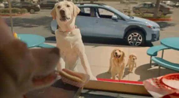 Fiesta Subaru: Subaru Albuquerque