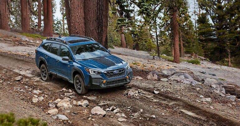 Elevate Your Subaru Experience With the Wilderness Trim Conversion