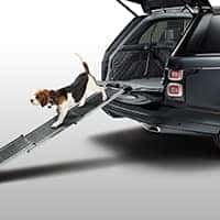 The Best Presents For Every Land Rover Fan | Land Rover Naperville