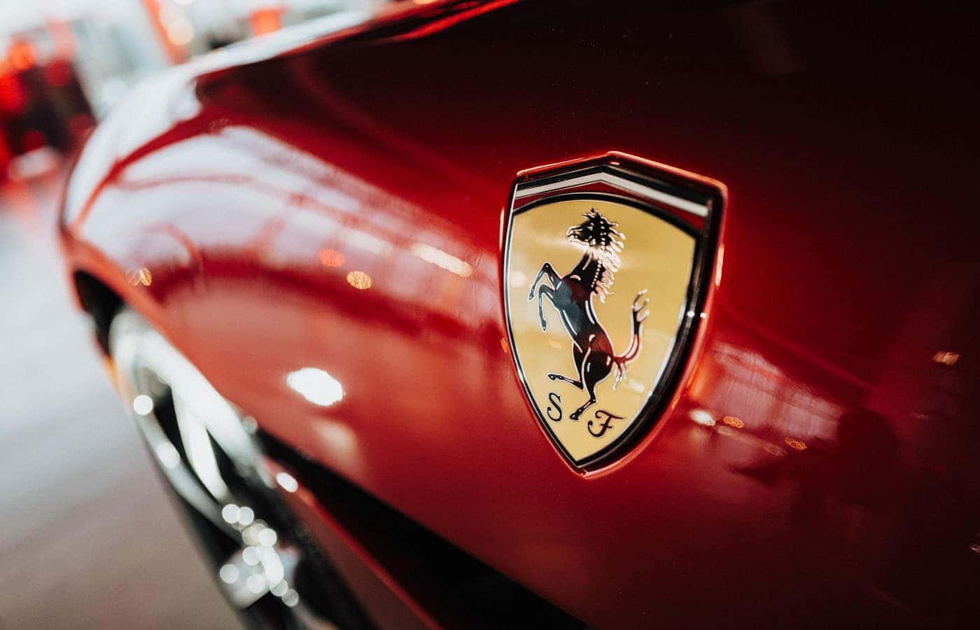 Event Gallery - Prancing Horse of Nashville Grand Opening | Prancing ...