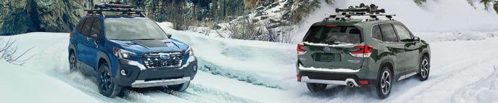 Subaru Forester Trim Levels - Quantrell Subaru