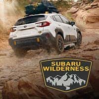 2024 Subaru Crosstrek Wilderness – a Mountain Goat in Crossover ...