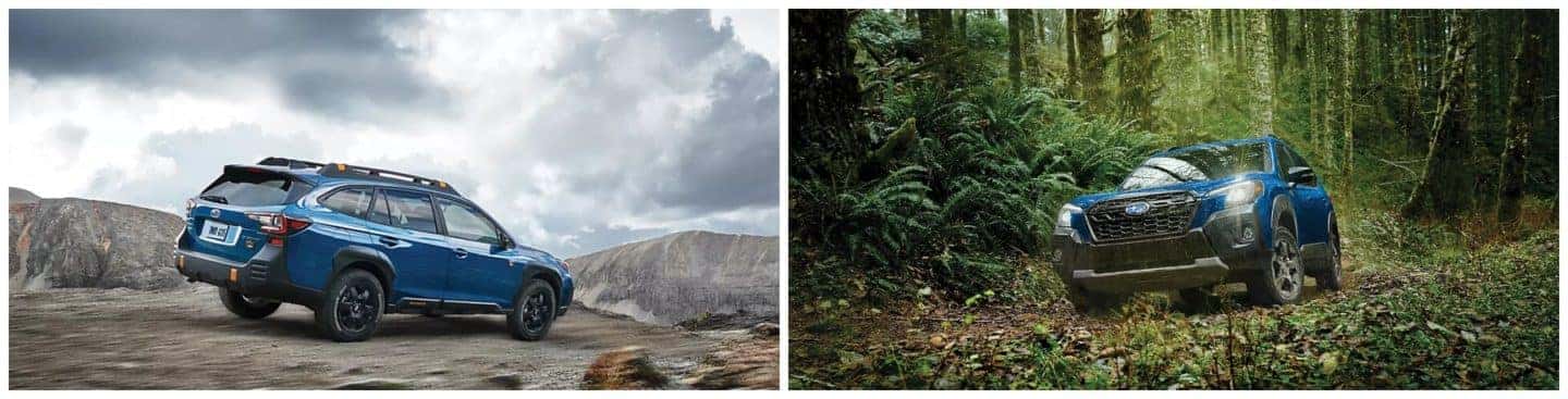 Outback Wilderness Vs Forester Wilderness, Which Wins Out? | Southern ...