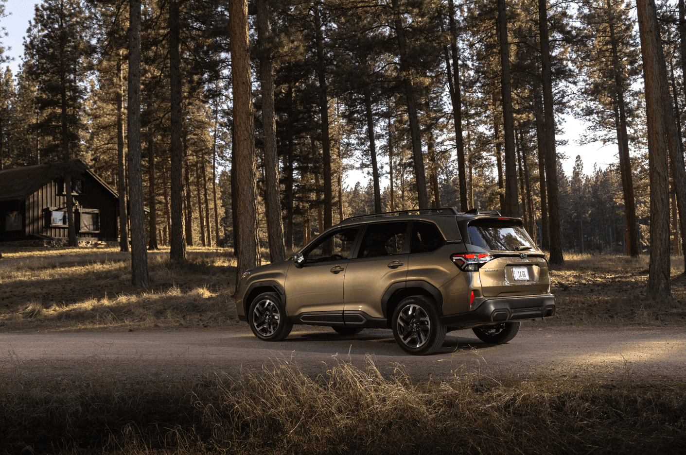 2025 Subaru Forester: Pricing and Trims Explained | Southern Team ...