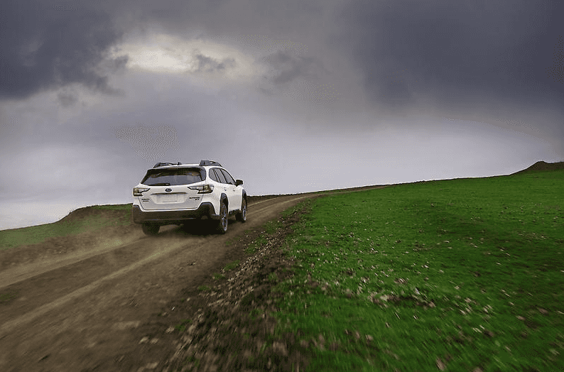 Pumpkin Patch Fun with the 2024 Outback